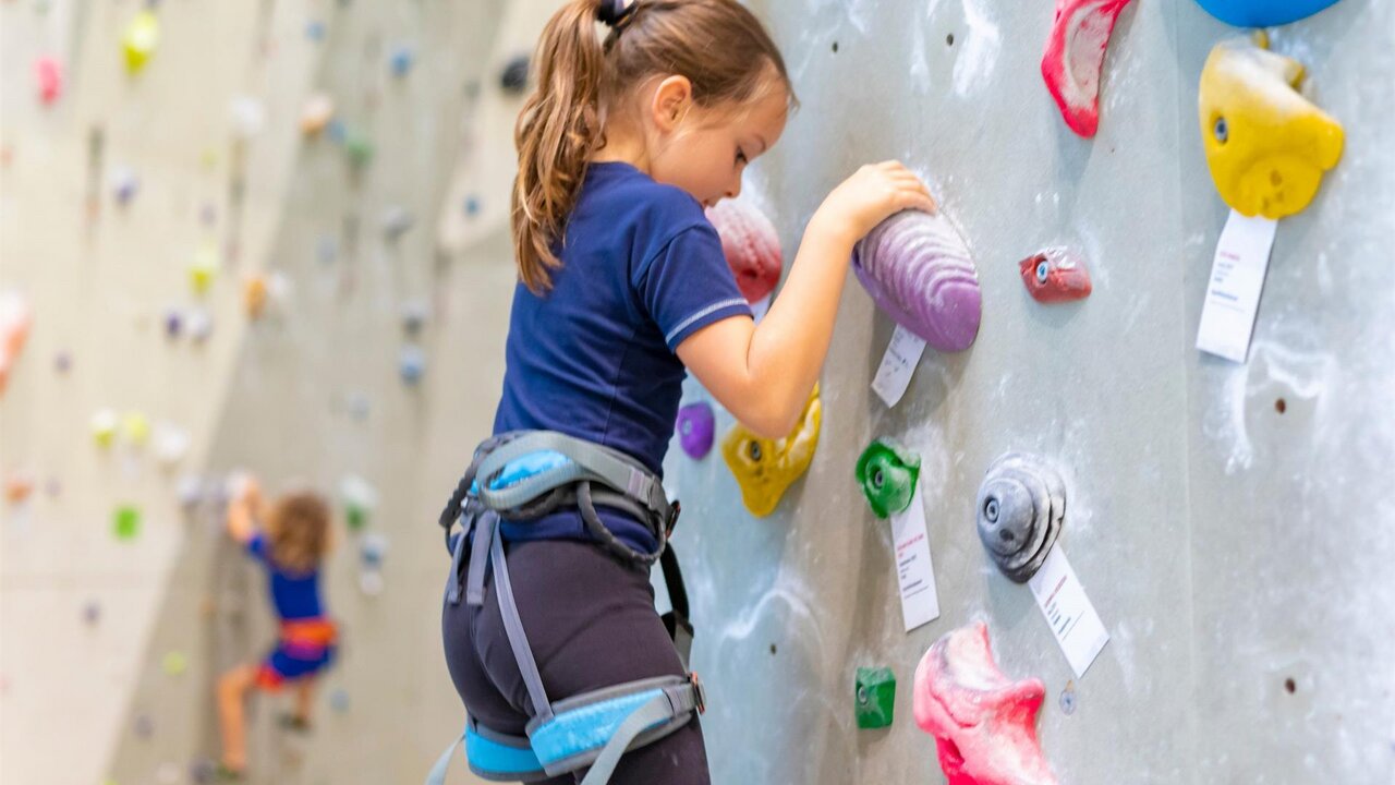 Climbing Race for Kids - Peer.today