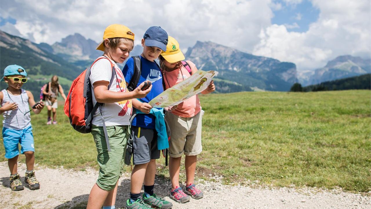 Treasure hunters and forest explorer - Peer.today